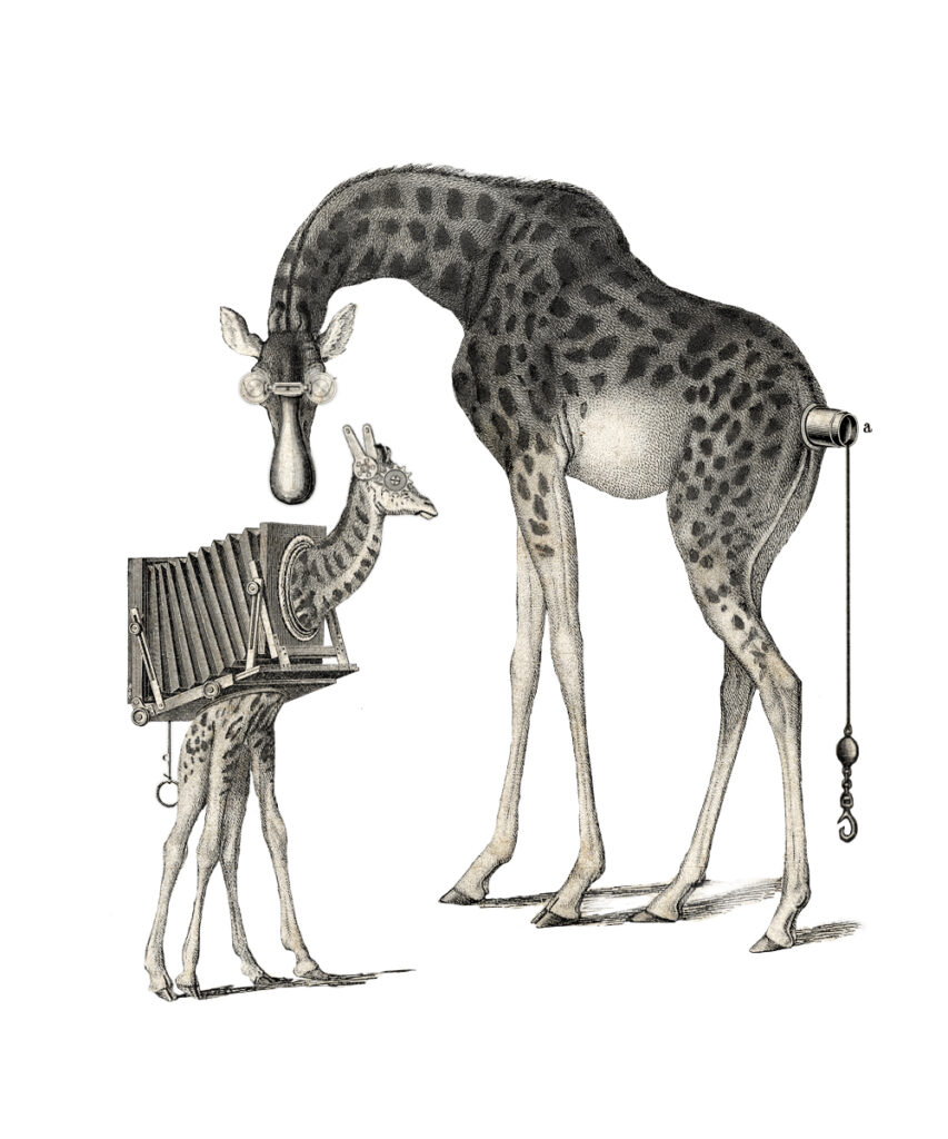 Bestiario de animales mecánicos - Yorokobu