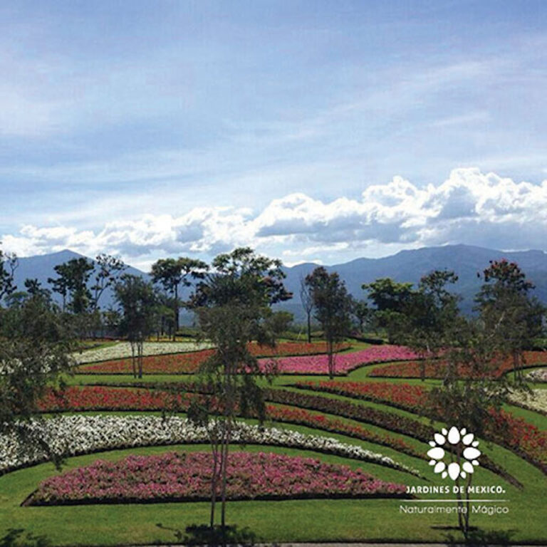 El Edén se instala en México - Yorokobu