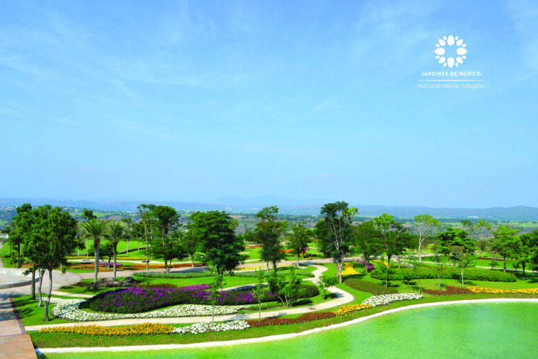 El Edén se instala en México - Yorokobu