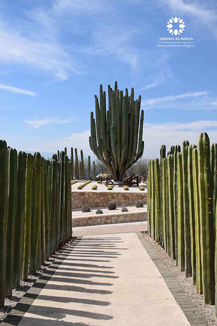 El Edén se instala en México
