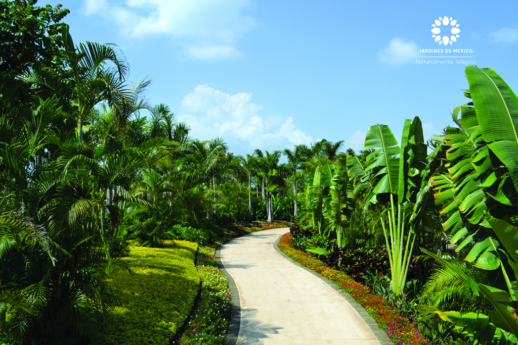 El Edén se instala en México – Yorokobu