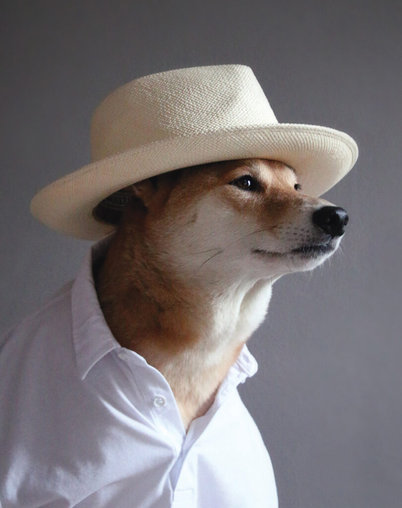 Menswear Dog: el perro más elegante del mundo - Yorokobu
