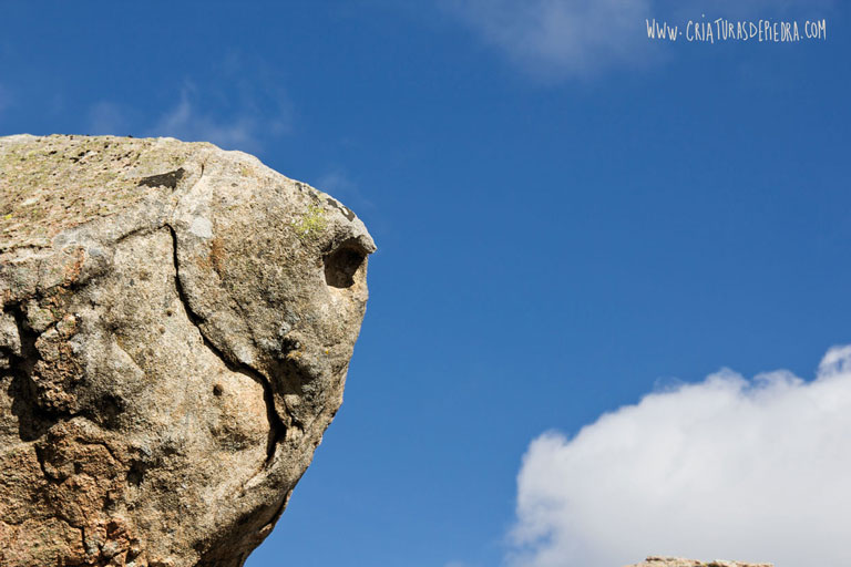 ¿A quién se parece esa roca? - Yorokobu