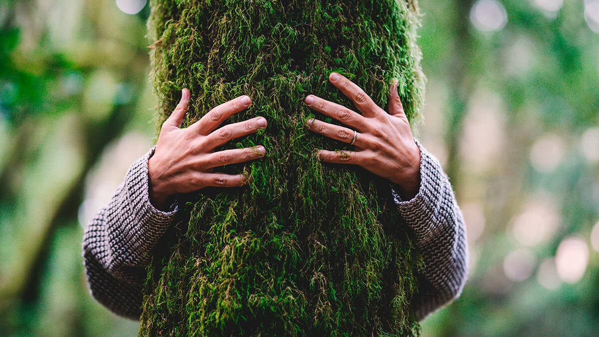 Animismo: Significado y reconexión con la naturaleza en la era digital